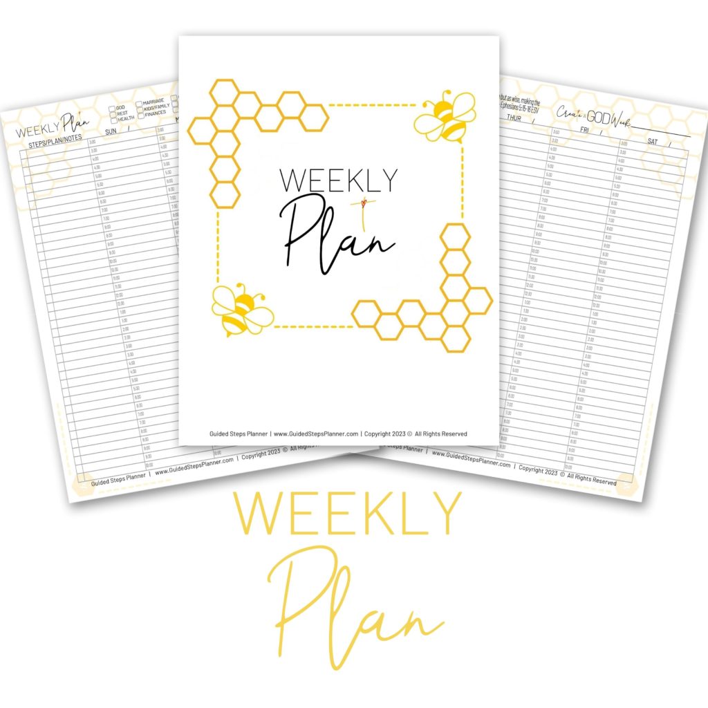Guided Steps Planner - Guided Steps Planner